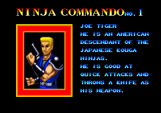 Ninja Commando (1994)(ADK)(Jp)[!] ISO